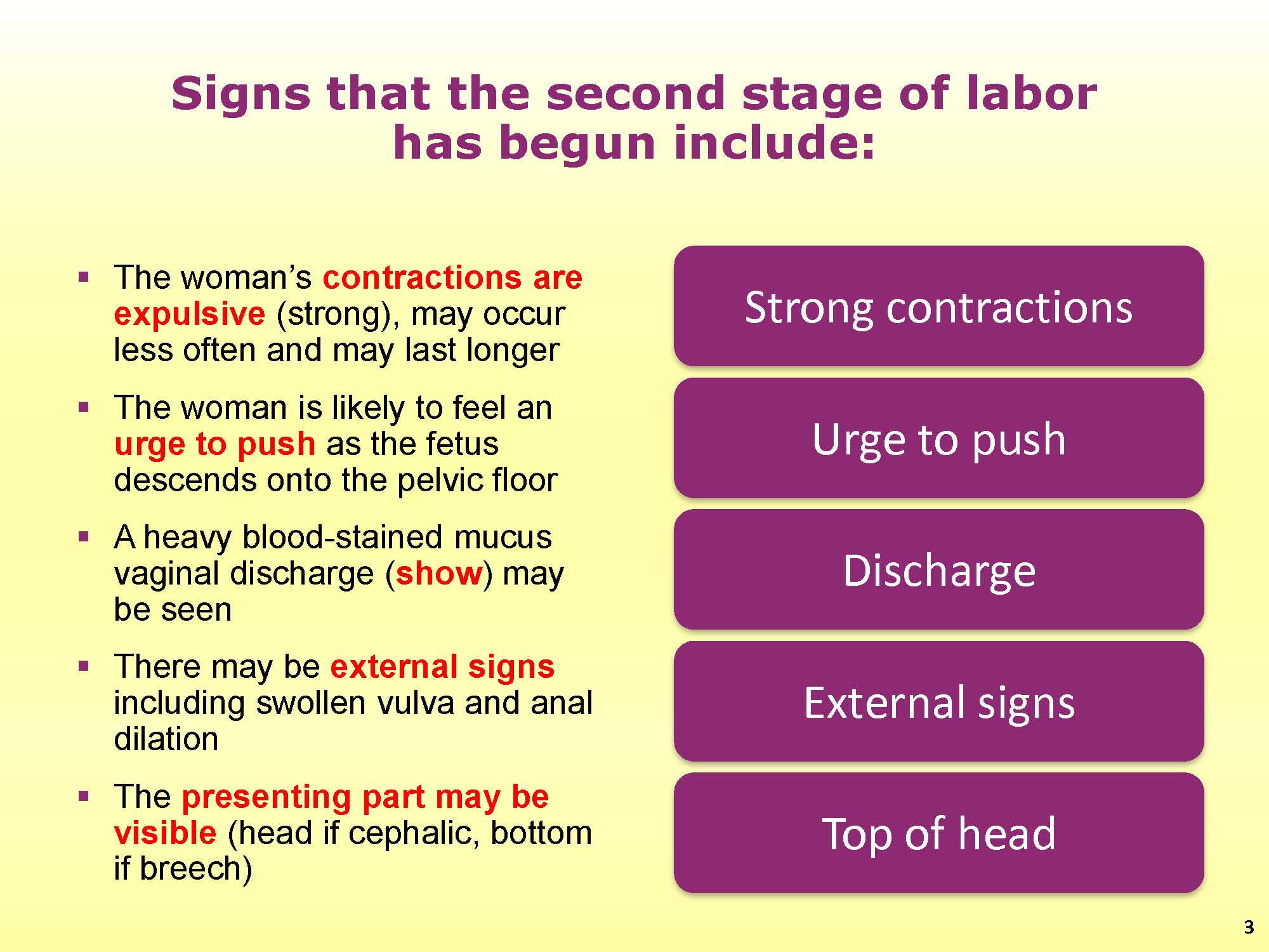 Normal Vaginal Delivery – Stage 2 | Tutorial | GLOWM