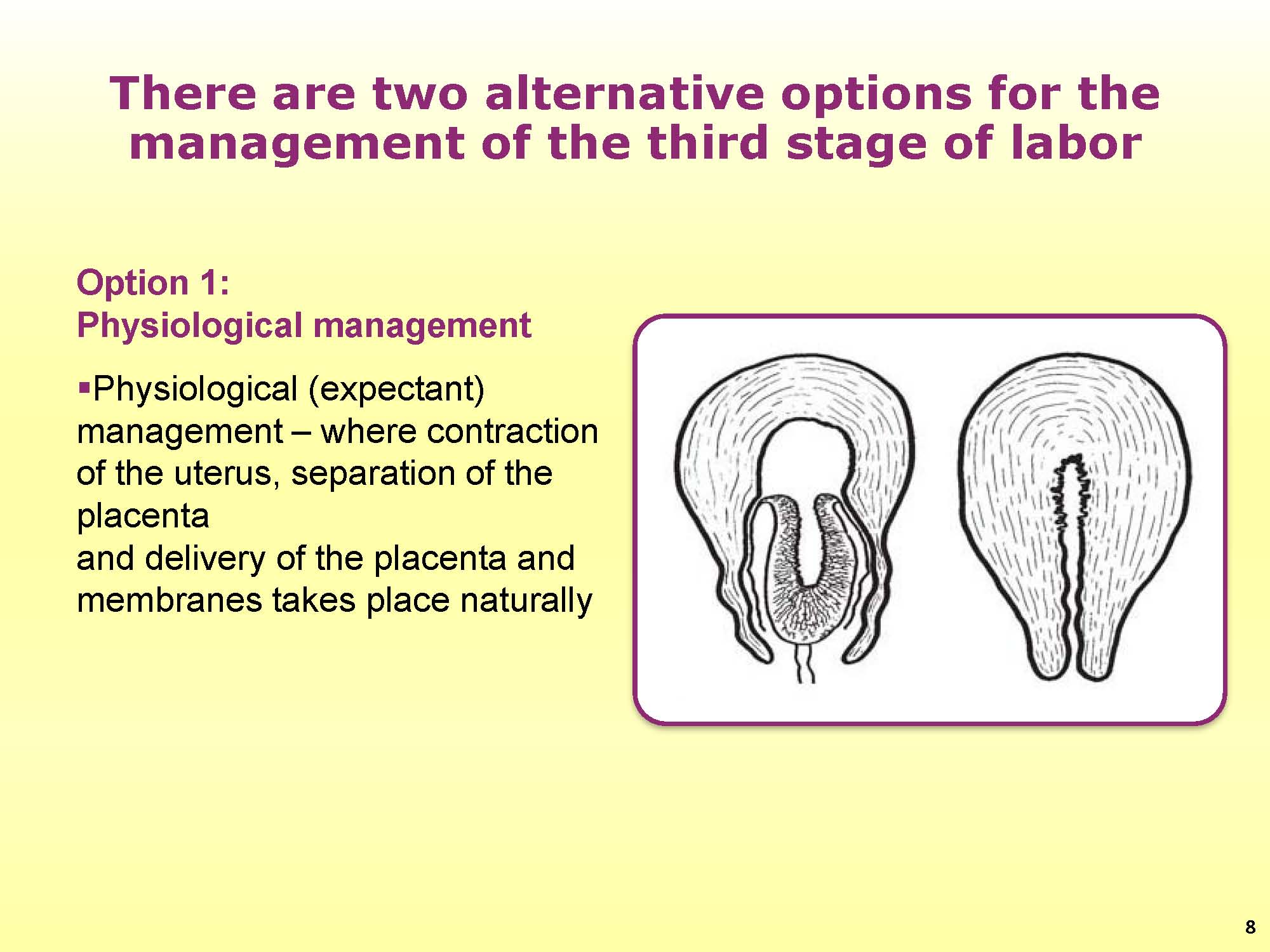 Normal Vaginal Delivery – Stage 3 | Tutorial | GLOWM