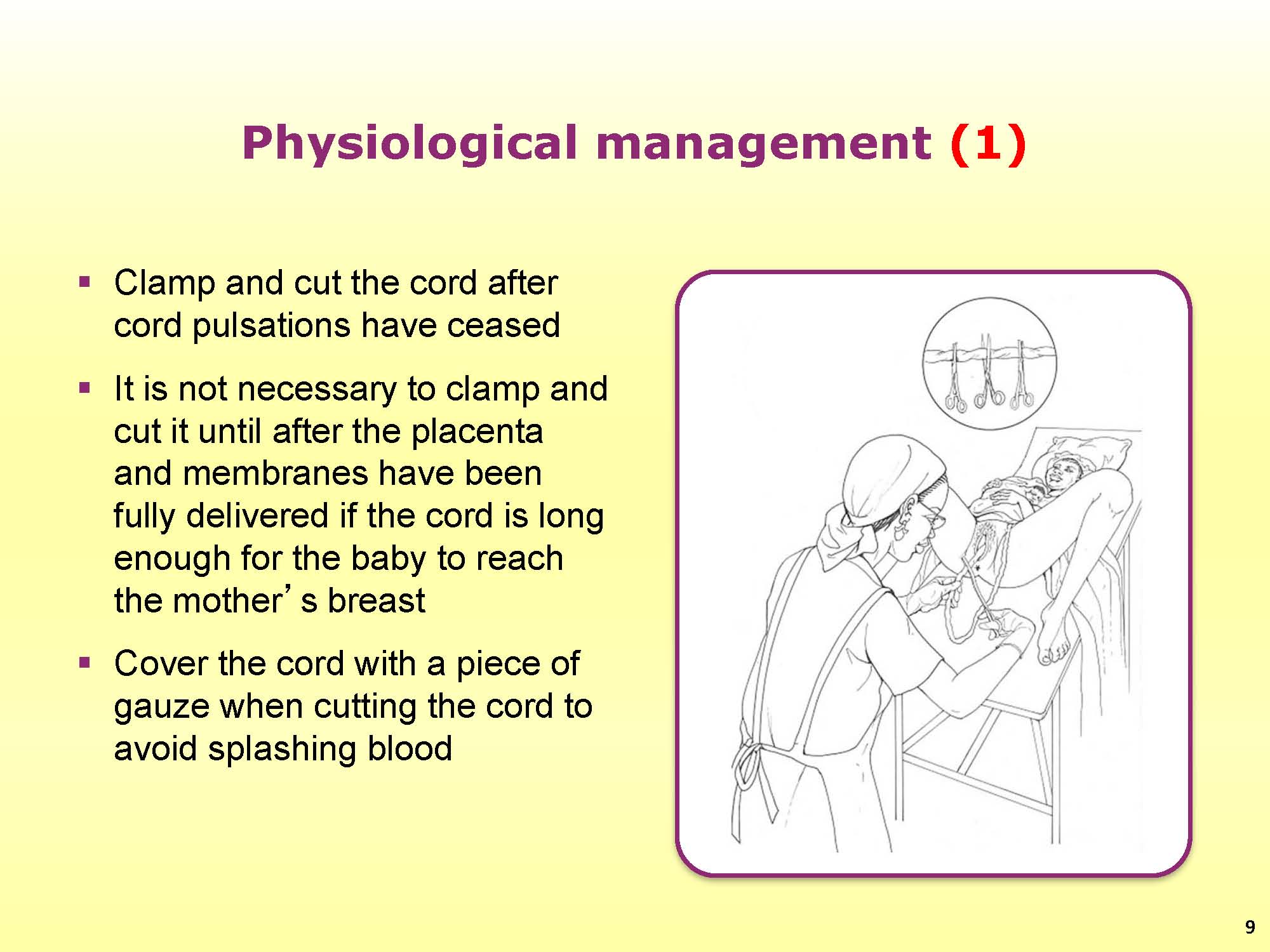 Normal Vaginal Delivery – Stage 3 | Tutorial | GLOWM
