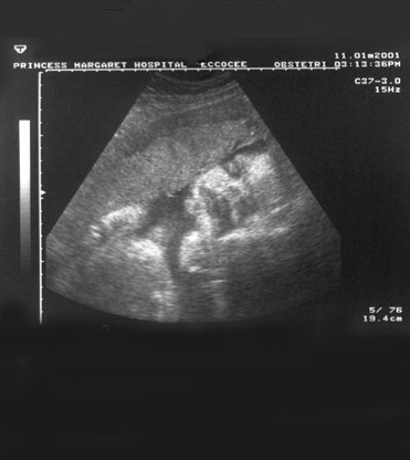 Imaging in medicine: Printable version