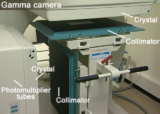 Imaging in medicine: Printable version